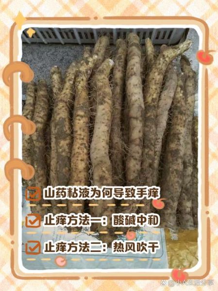 山药痒会持续多久_山药痒怎么快速止痒-第1张图片-山城妙识