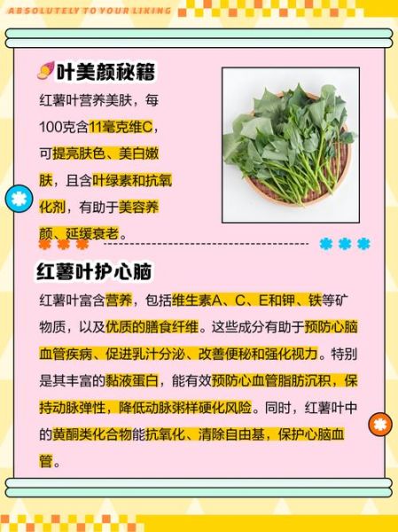 地瓜叶的功效与作用及禁忌_地瓜叶什么人不能吃-第1张图片-山城妙识