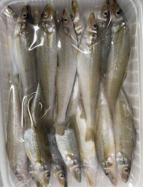 沙丁鱼的功效与作用_沙丁鱼禁忌有哪些-第2张图片-山城妙识