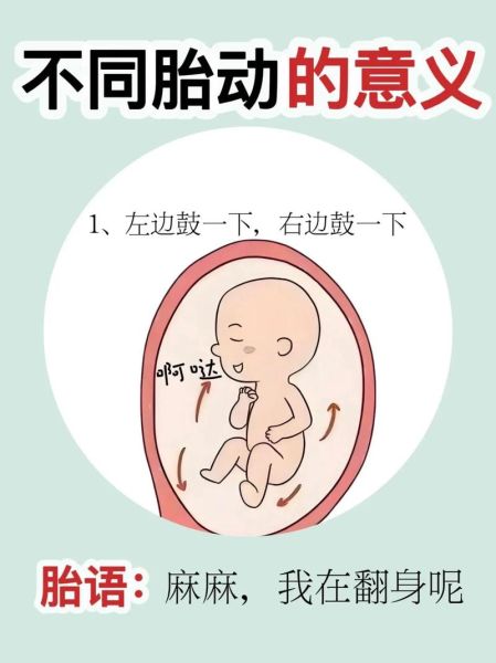 孕晚期胎动频繁正常吗_胎动频繁是不是要生了-第3张图片-山城妙识 孕晚期胎动频繁正常吗_胎动频繁是不是要生了-第3张图片-山城妙识