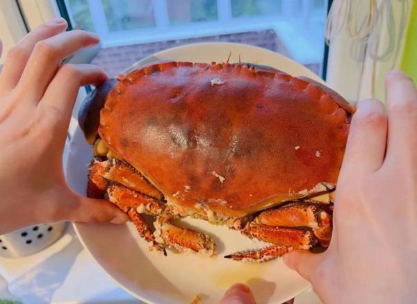 爆炒面包蟹怎么做_面包蟹怎么清洗才干净-第1张图片-山城妙识 爆炒面包蟹怎么做_面包蟹怎么清洗才干净-第1张图片-山城妙识