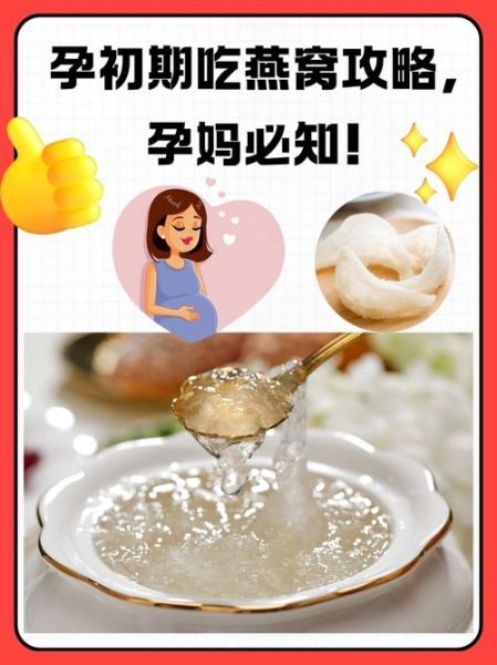 孕期吃燕窝的最佳时间_孕妇燕窝什么时候吃最好-第1张图片-山城妙识 孕期吃燕窝的最佳时间_孕妇燕窝什么时候吃最好-第1张图片-山城妙识