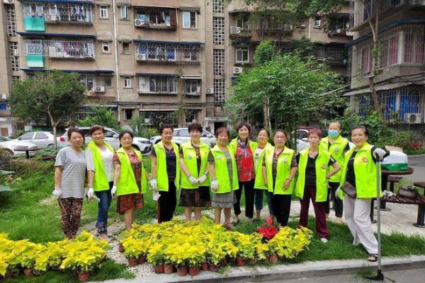 枣子巷社区怎么样_枣子巷社区有哪些便民服务-第1张图片-山城妙识 枣子巷社区怎么样_枣子巷社区有哪些便民服务-第1张图片-山城妙识