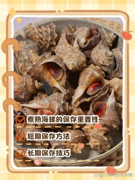 海螺煮多久才熟_海螺煮几分钟可以吃-第1张图片-山城妙识