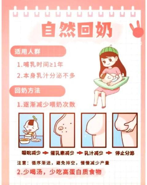 科学回奶的正确方法_如何自然回奶不痛苦-第1张图片-山城妙识