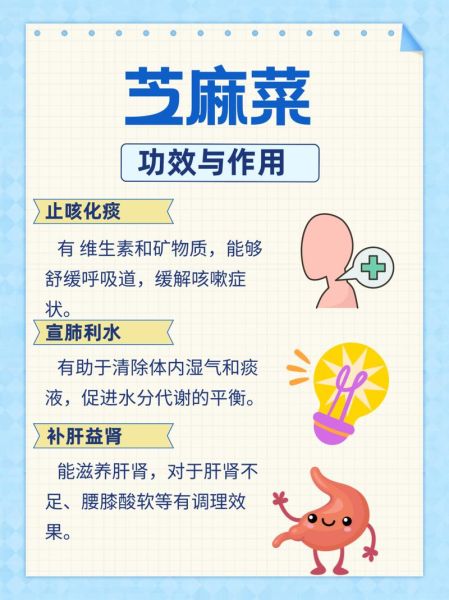 芝麻菜哪些人不能吃_芝麻菜禁忌人群-第1张图片-山城妙识 芝麻菜哪些人不能吃_芝麻菜禁忌人群-第1张图片-山城妙识