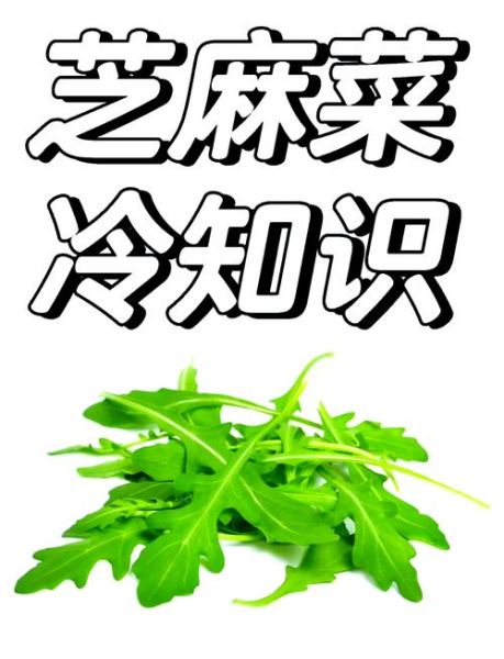 芝麻菜哪些人不能吃_芝麻菜禁忌人群-第3张图片-山城妙识 芝麻菜哪些人不能吃_芝麻菜禁忌人群-第3张图片-山城妙识