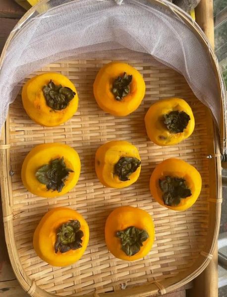 柿饼怎么做_家庭版柿饼做法-第3张图片-山城妙识 柿饼怎么做_家庭版柿饼做法-第3张图片-山城妙识