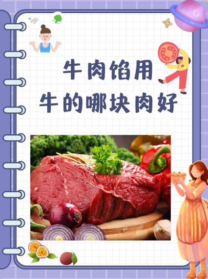 牛肉饺子馅用哪块肉_牛前腿还是牛后腿-第1张图片-山城妙识 牛肉饺子馅用哪块肉_牛前腿还是牛后腿-第1张图片-山城妙识
