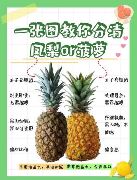 菠萝怎么吃方便_菠萝怎么削皮不扎手-第3张图片-山城妙识