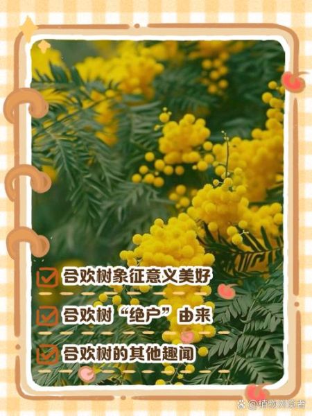 合欢树为什么叫鬼树_合欢树鬼树传说-第1张图片-山城妙识