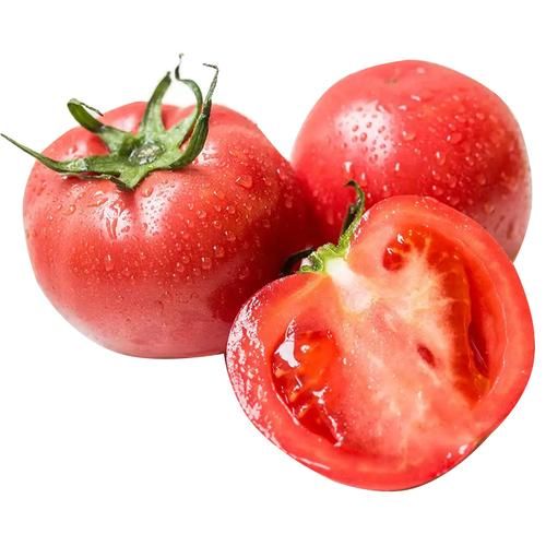 西红柿图片大全大图_如何挑选高清西红柿图片-第3张图片-山城妙识 西红柿图片大全大图_如何挑选高清西红柿图片-第3张图片-山城妙识