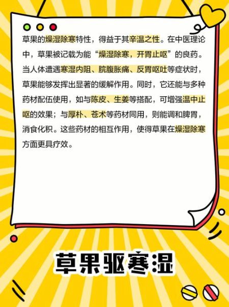草果的功效与作用有哪些_草果主治什么病-第1张图片-山城妙识 草果的功效与作用有哪些_草果主治什么病-第1张图片-山城妙识
