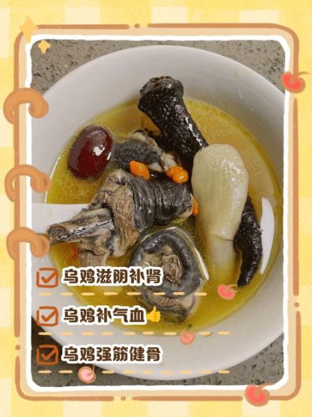 女人吃乌鸡好还是鸽子好_哪个更补血养颜-第1张图片-山城妙识