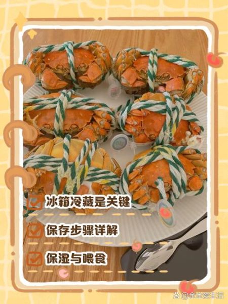 大闸蟹放冰箱能活几天_大闸蟹冷藏还是冷冻-第3张图片-山城妙识 大闸蟹放冰箱能活几天_大闸蟹冷藏还是冷冻-第3张图片-山城妙识