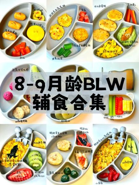 九个月宝宝辅食吃什么_九个月宝宝辅食食谱推荐-第1张图片-山城妙识 九个月宝宝辅食吃什么_九个月宝宝辅食食谱推荐-第1张图片-山城妙识