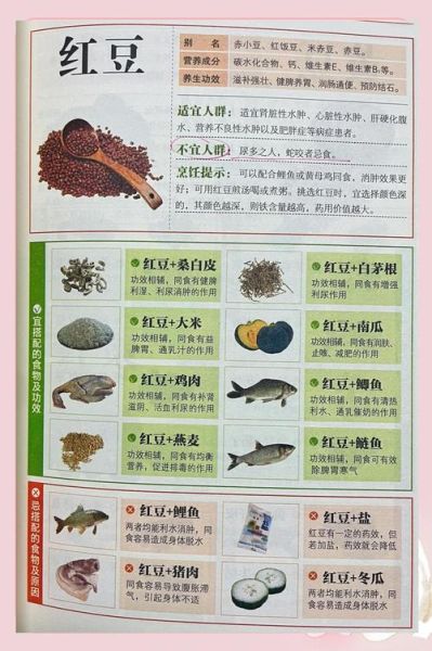 红豆的功效与作用_红豆主治哪些病-第1张图片-山城妙识