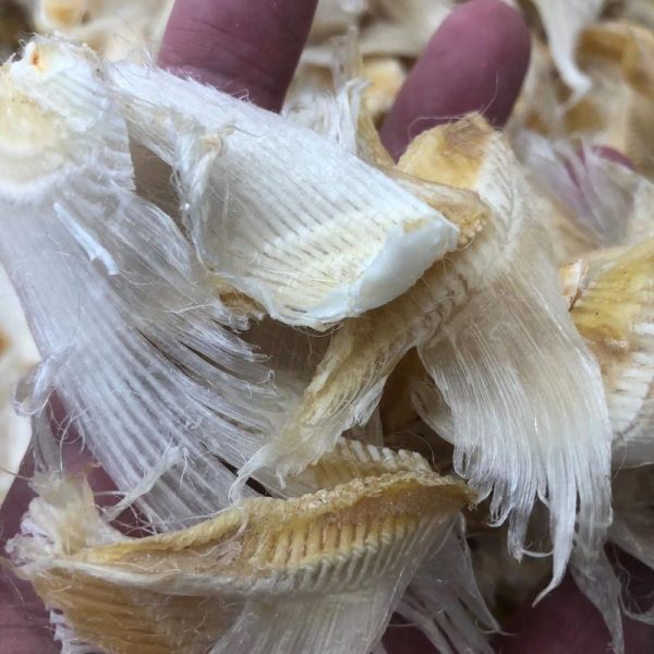 人造鱼翅是什么做的_人造鱼翅有营养吗-第2张图片-山城妙识 人造鱼翅是什么做的_人造鱼翅有营养吗-第2张图片-山城妙识