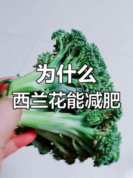 西兰花热量是多少_减肥能吃西兰花吗-第2张图片-山城妙识 西兰花热量是多少_减肥能吃西兰花吗-第2张图片-山城妙识