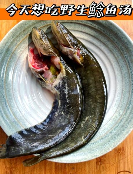 鲶鱼怎么做好吃_鲶鱼的做法视频教程-第1张图片-山城妙识