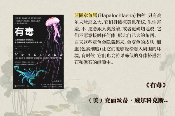 箱水母和蓝环章鱼哪个更毒_被咬后还能活多久-第2张图片-山城妙识 箱水母和蓝环章鱼哪个更毒_被咬后还能活多久-第2张图片-山城妙识