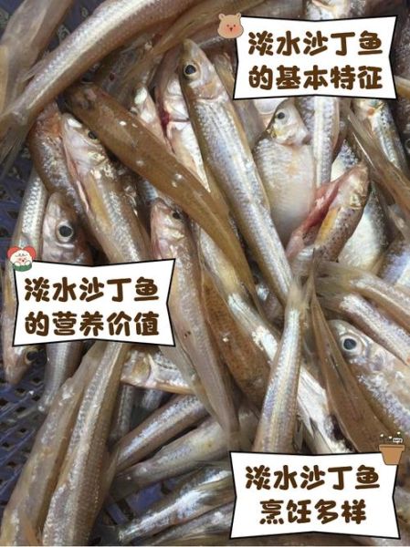 沙丁鱼价格多少钱一斤_最新批发零售行情-第2张图片-山城妙识 沙丁鱼价格多少钱一斤_最新批发零售行情-第2张图片-山城妙识