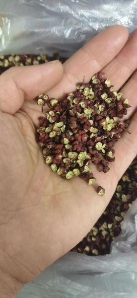 花椒图片怎么拍好看_花椒图片拍摄技巧-第3张图片-山城妙识 花椒图片怎么拍好看_花椒图片拍摄技巧-第3张图片-山城妙识