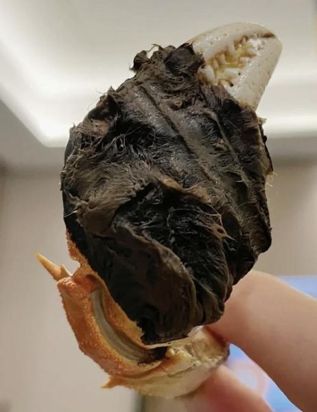 螃蟹钳子断了可以再生吗_螃蟹钳子多久长出来-第1张图片-山城妙识 螃蟹钳子断了可以再生吗_螃蟹钳子多久长出来-第1张图片-山城妙识