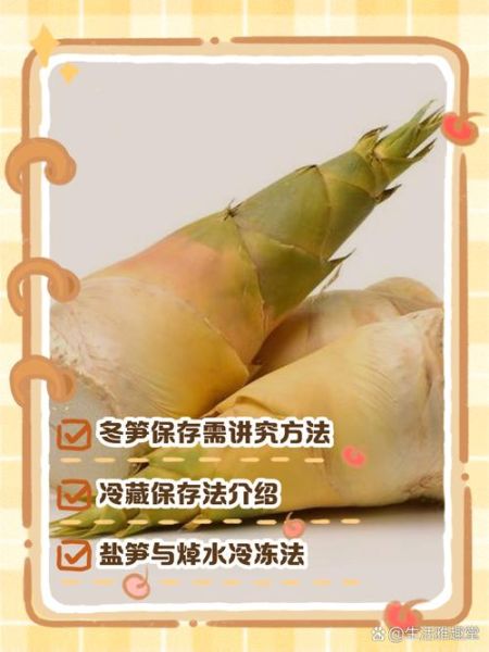 冬笋怎么保存不会坏_冬笋可以放冰箱多久-第2张图片-山城妙识 冬笋怎么保存不会坏_冬笋可以放冰箱多久-第2张图片-山城妙识