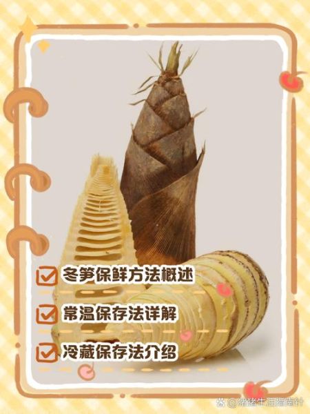 冬笋怎么保存不会坏_冬笋可以放冰箱多久-第3张图片-山城妙识 冬笋怎么保存不会坏_冬笋可以放冰箱多久-第3张图片-山城妙识