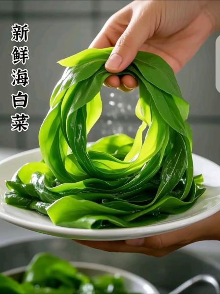 海白菜和海带哪个好_营养价值对比-第3张图片-山城妙识 海白菜和海带哪个好_营养价值对比-第3张图片-山城妙识