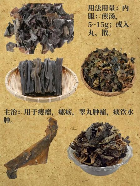 海白菜和海带哪个好_营养价值对比-第2张图片-山城妙识 海白菜和海带哪个好_营养价值对比-第2张图片-山城妙识