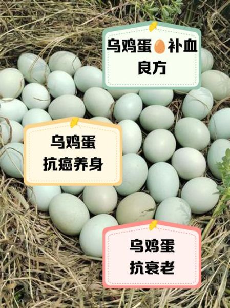 乌鸡蛋怎么煮好吃_乌鸡蛋的营养价值-第1张图片-山城妙识 乌鸡蛋怎么煮好吃_乌鸡蛋的营养价值-第1张图片-山城妙识