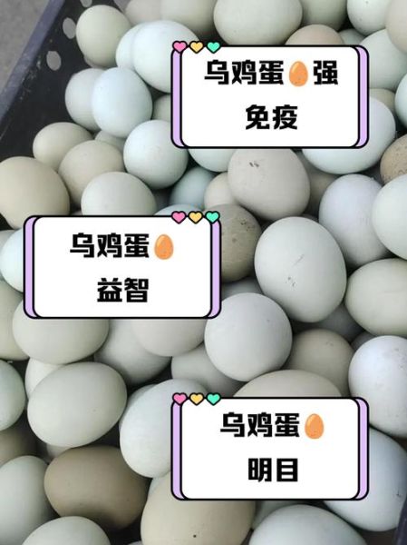 乌鸡蛋怎么煮好吃_乌鸡蛋的营养价值-第3张图片-山城妙识 乌鸡蛋怎么煮好吃_乌鸡蛋的营养价值-第3张图片-山城妙识