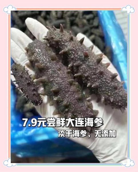 海参多少钱一斤_海参价格表2024最新行情-第2张图片-山城妙识 海参多少钱一斤_海参价格表2024最新行情-第2张图片-山城妙识