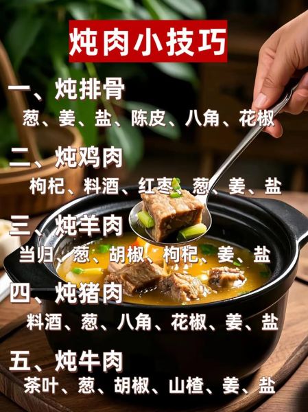炖肉视频教程_炖肉怎么炖才软烂入味-第2张图片-山城妙识 炖肉视频教程_炖肉怎么炖才软烂入味-第2张图片-山城妙识