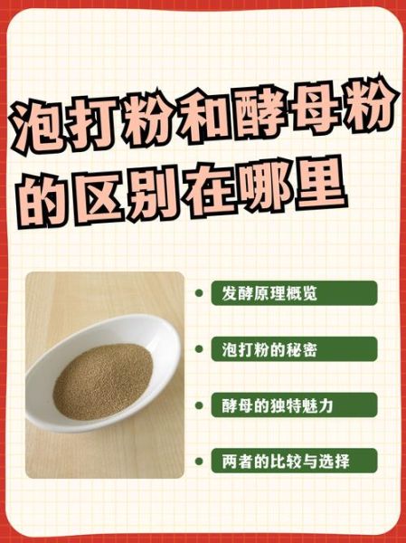 酵母粉的作用与功效_酵母粉可以减肥吗-第2张图片-山城妙识 酵母粉的作用与功效_酵母粉可以减肥吗-第2张图片-山城妙识