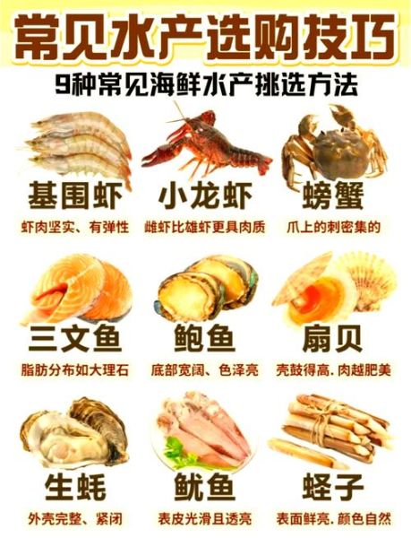 海鲜种类有哪些_如何挑选新鲜海鲜-第1张图片-山城妙识 海鲜种类有哪些_如何挑选新鲜海鲜-第1张图片-山城妙识