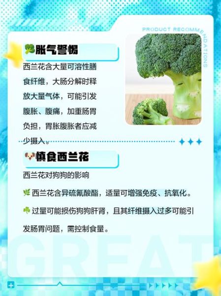 西兰花吃多了有什么坏处_哪些人不能吃西兰花-第1张图片-山城妙识 西兰花吃多了有什么坏处_哪些人不能吃西兰花-第1张图片-山城妙识