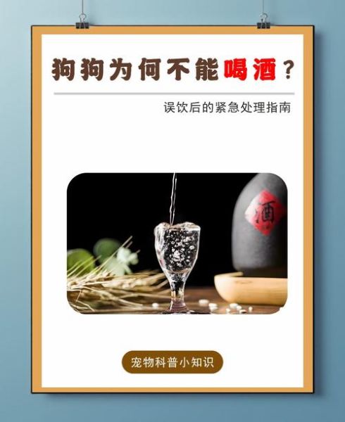 狗肉加白酒必死无疑吗_真相揭秘-第3张图片-山城妙识 狗肉加白酒必死无疑吗_真相揭秘-第3张图片-山城妙识