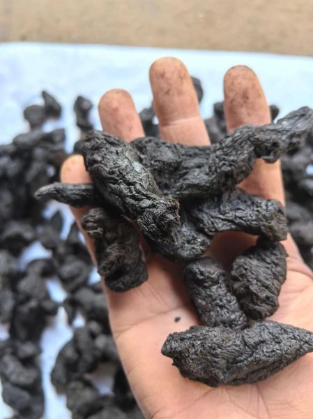 熟地多少钱一斤_熟地价格为什么差别大-第1张图片-山城妙识 熟地多少钱一斤_熟地价格为什么差别大-第1张图片-山城妙识