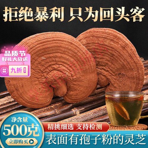 灵芝价格多少钱一斤干货_如何辨别真假-第3张图片-山城妙识 灵芝价格多少钱一斤干货_如何辨别真假-第3张图片-山城妙识