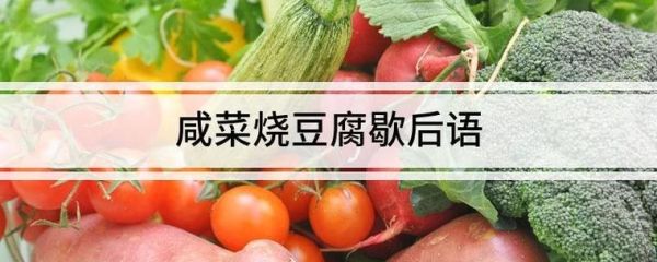 咸菜烧豆腐歇后语什么意思_咸菜烧豆腐下一句是什么-第2张图片-山城妙识 咸菜烧豆腐歇后语什么意思_咸菜烧豆腐下一句是什么-第2张图片-山城妙识