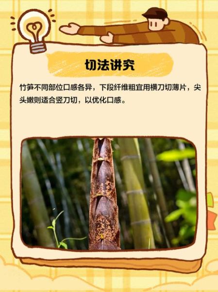 新鲜竹笋怎么处理才能马上吃_竹笋去涩最快方法-第3张图片-山城妙识 新鲜竹笋怎么处理才能马上吃_竹笋去涩最快方法-第3张图片-山城妙识