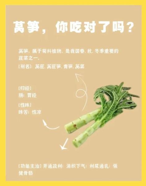 莴苣和莴笋的区别_莴苣和莴笋怎么区分-第1张图片-山城妙识 莴苣和莴笋的区别_莴苣和莴笋怎么区分-第1张图片-山城妙识