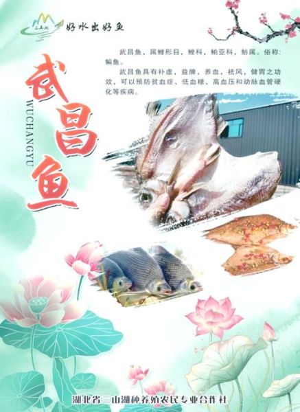 武昌鱼为什么出名_武昌鱼诗句有哪些-第1张图片-山城妙识