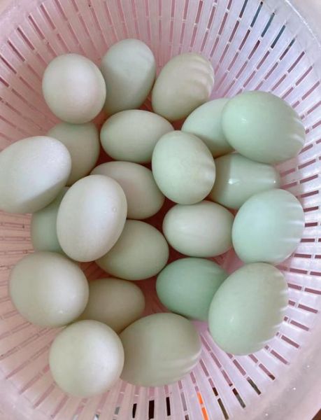 咸鸭蛋怎么腌制才出油好吃不咸_家庭实用技巧-第1张图片-山城妙识