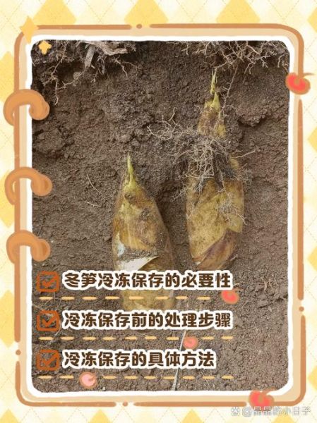 冬笋怎么保存_冬笋焯水多久才熟-第2张图片-山城妙识 冬笋怎么保存_冬笋焯水多久才熟-第2张图片-山城妙识