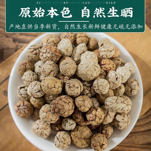 草寇仁别名是什么_草寇仁与草豆蔻区别-第2张图片-山城妙识