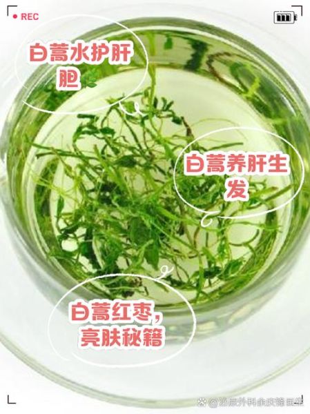 白蒿水禁忌人群有哪些_哪些人不能喝白蒿水-第2张图片-山城妙识 白蒿水禁忌人群有哪些_哪些人不能喝白蒿水-第2张图片-山城妙识